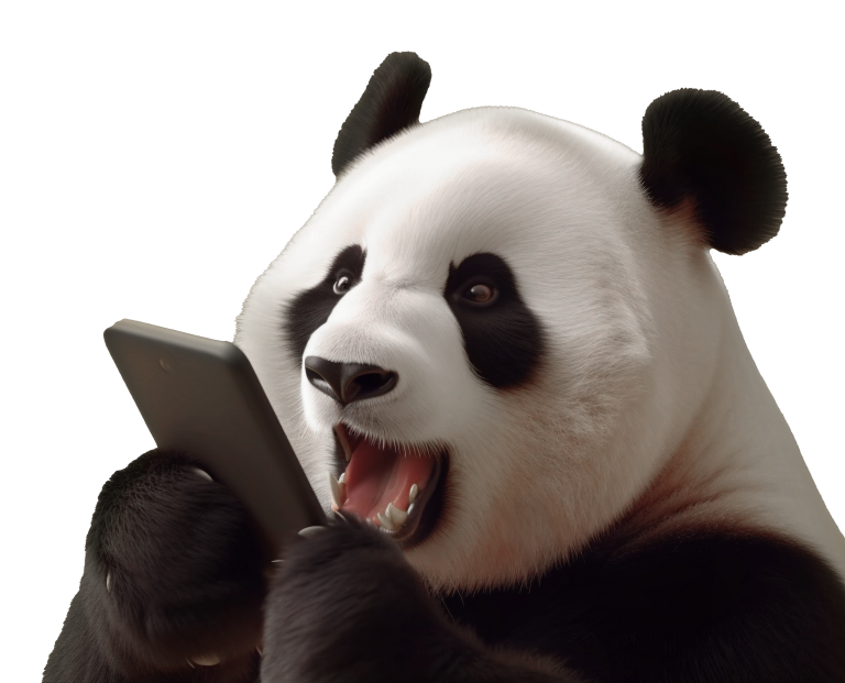 Customer Support at Broadband Hospitality | BBH Reliable #1